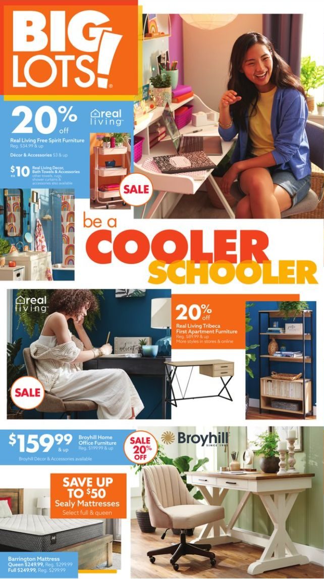 Big Lots Ad Jul 24 - 31, 2021 | WeeklyAds2