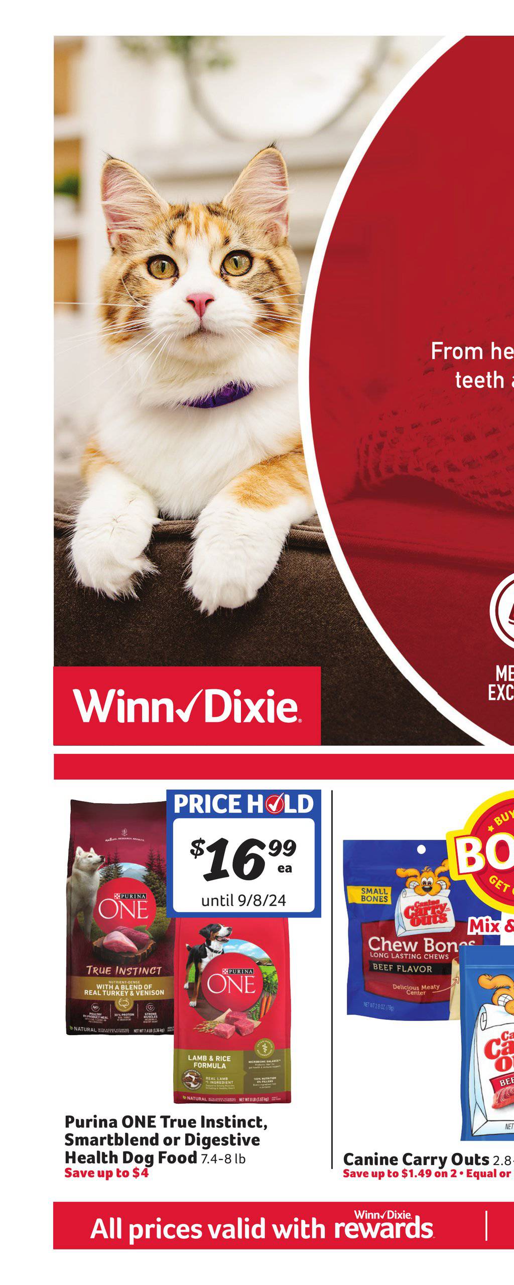 Winn-Dixie Ad In-Store Flyer July 10 - 23, 2024 | WeeklyAds2